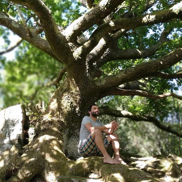 Forest Bathing Full circle experiences | GetYourGuide