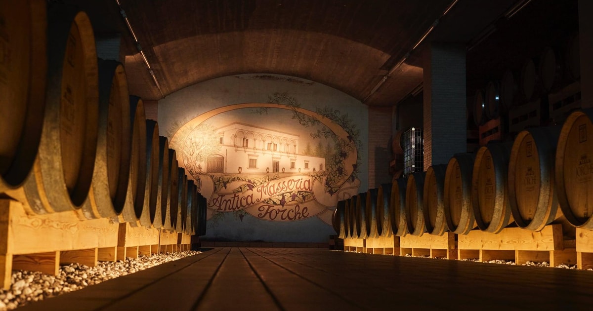 Ruta del Vino "Descubrimiento Jarche" | GetYourGuide