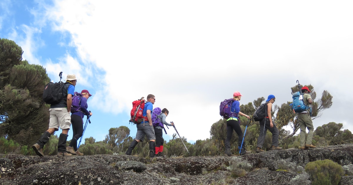 5 Tage Kilimanjaro Marangu Route besteigen | GetYourGuide