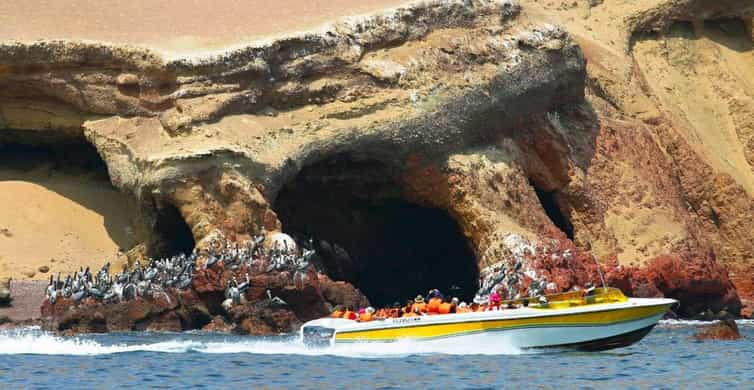 Paracas : Islas Ballestas y Reserva de Paracas - Día completo ...