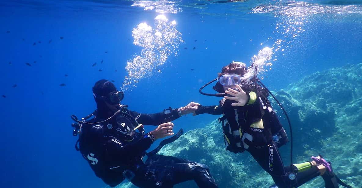 Calvi: Try Dive In The Calvi Bay | GetYourGuide