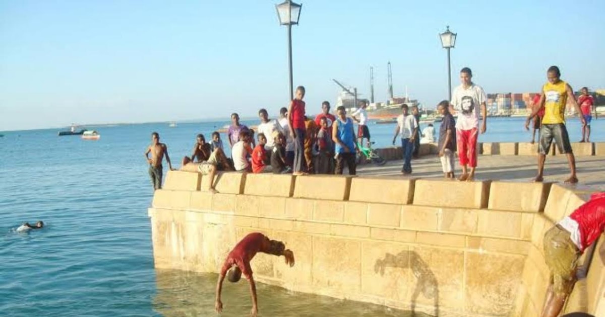 Zanzibar: Stone town tour & Makachu Diving Show at Forodhani | GetYourGuide