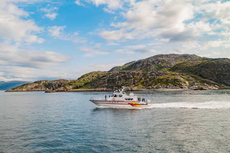 Alta: Altafjord 2-Hour Fjord Safari with Guide | GetYourGuide