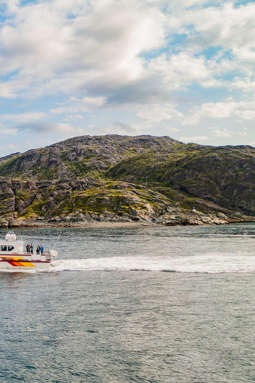 Alta: Altafjord 2-Hour Fjord Safari with Guide | GetYourGuide