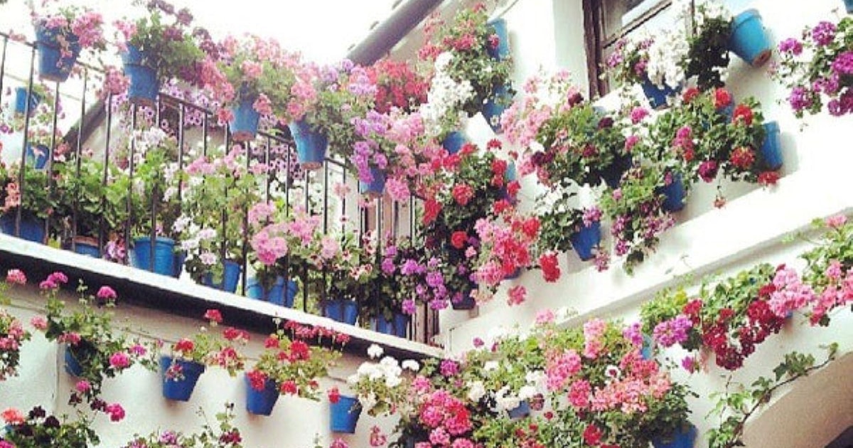 Córdoba Patio Competition: A unique experience of flowers and tradition ...