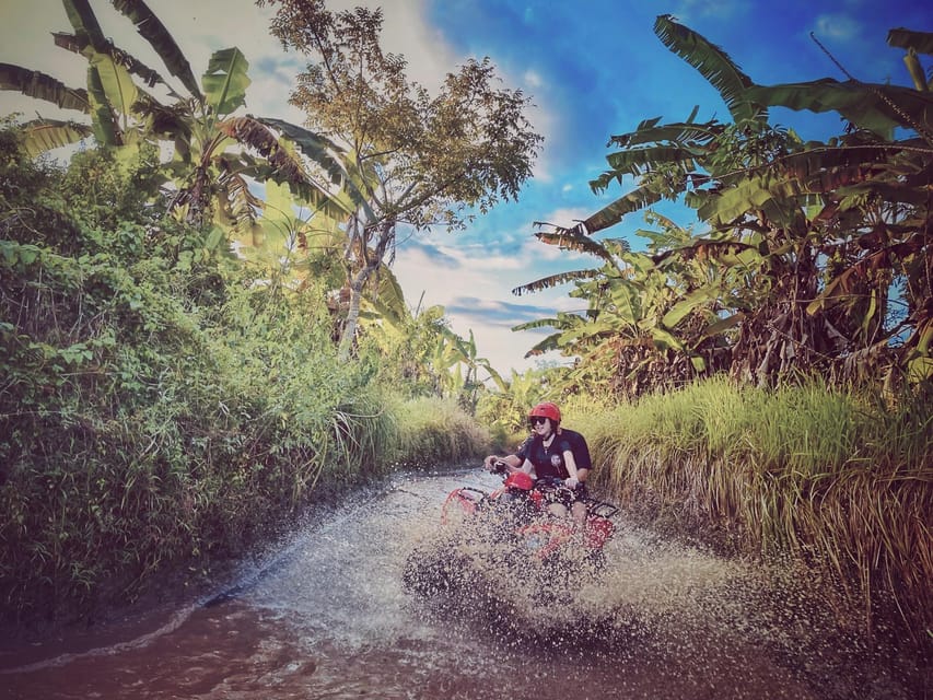 Bali: Ubud Gorilla Cave Track Excursión en quad y cascada con comida ...