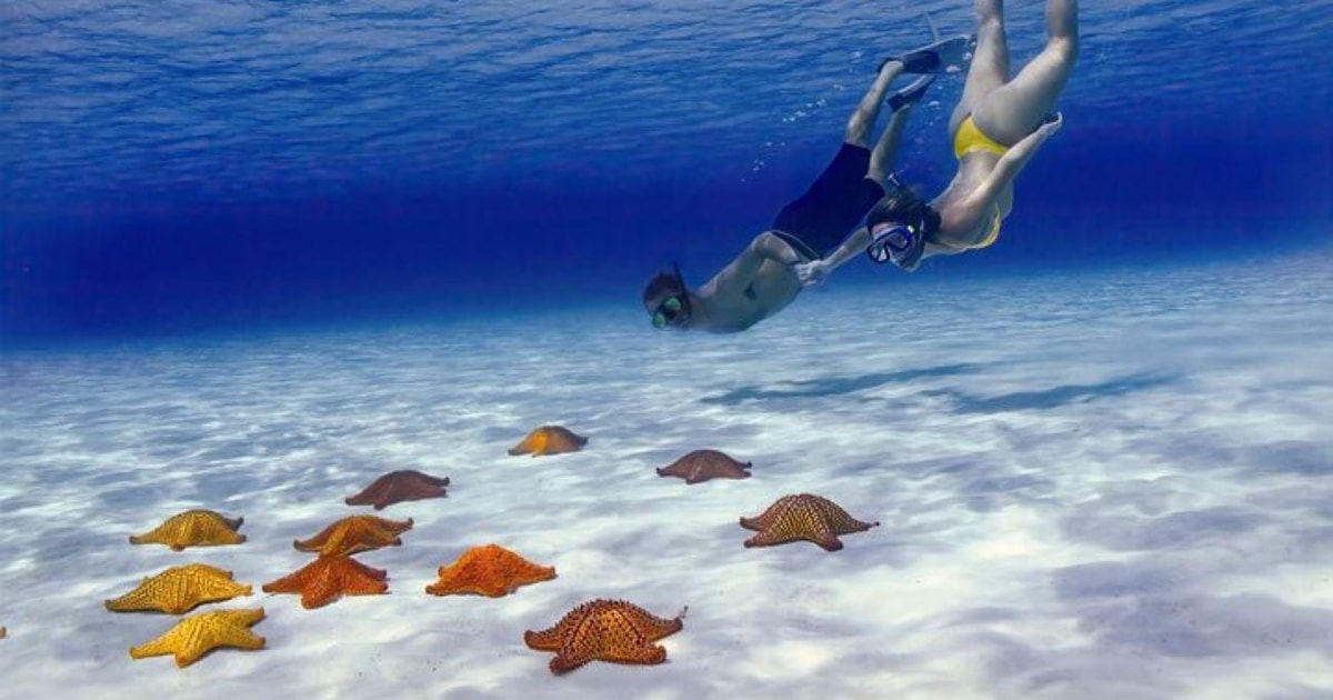 Cozumel: Cozel: Soukromá šnorchlovací túra El Cielo + 3 útesy Jídlo ...