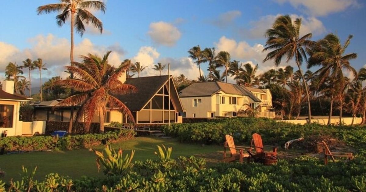 Oahu : Sightseeing Walking Custom Tour with a Local Guide | GetYourGuide