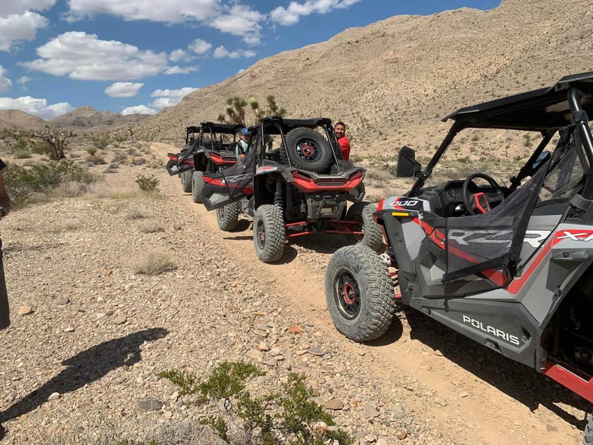 Las Vegas Mojave Desert Adventure - Guided Tour | GetYourGuide