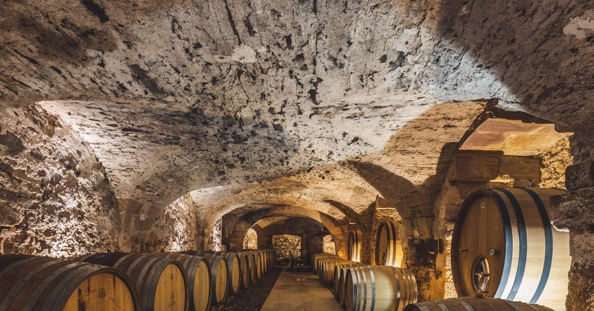 Hyères Côte d'Azur: Wine & Tourism Tour with tasting | GetYourGuide