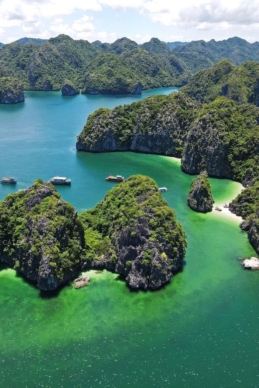 Cat Ba Island: Lan Ha Bay Bioluminescence Plankton Kayaking | GetYourGuide