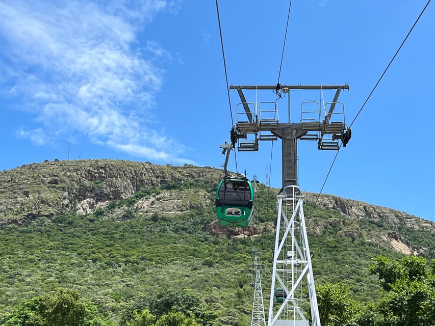 Johannesburg: Cableway and Lunch Boat Cruise Half Day Tour | GetYourGuide