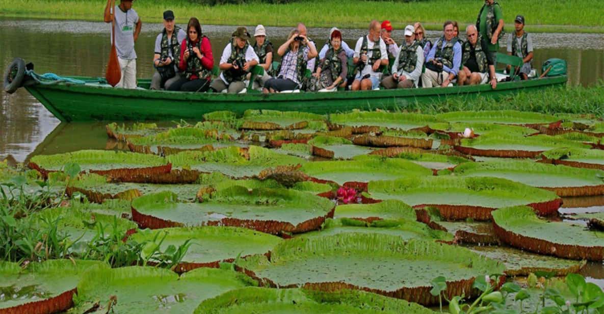 From Iquitos ||3-day tour Pacaya Samiria National Reserve || | GetYourGuide
