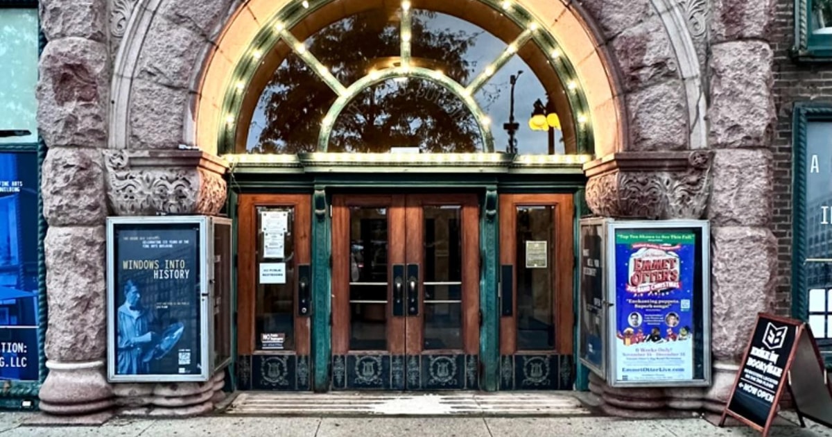 Chicago: Tour a piedi dell'edificio delle Belle Arti | GetYourGuide
