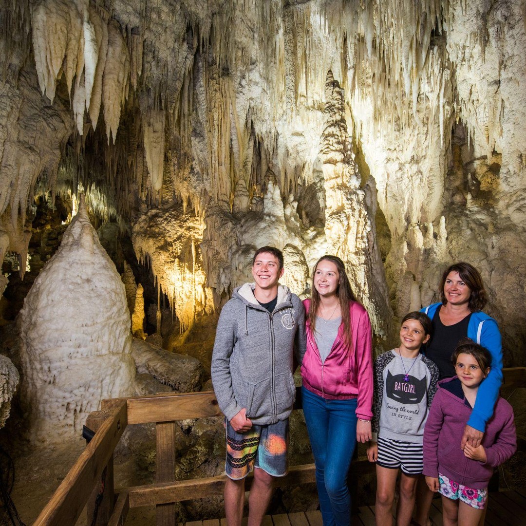 Auckland: One-Way Tour to Rotorua with Waitomo Caves | GetYourGuide