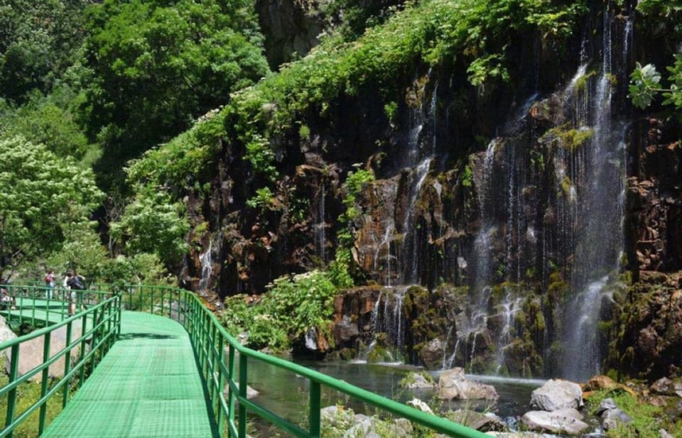 From Tbilisi: Dashbashi canyon,Algeti,Shavnabada Group Tour | GetYourGuide
