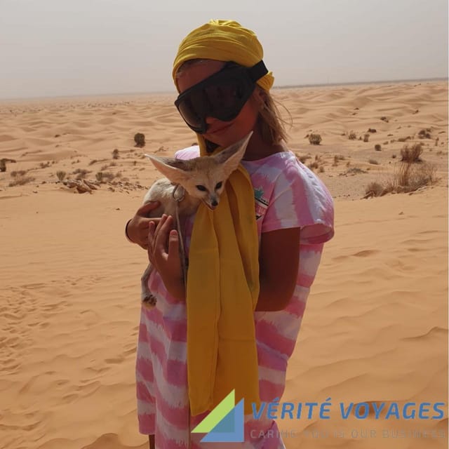 From djerba To chenini_tataouine | GetYourGuide