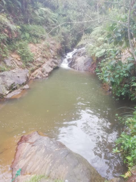 Medellín, Un día de aventura en el Parque Arvi | GetYourGuide