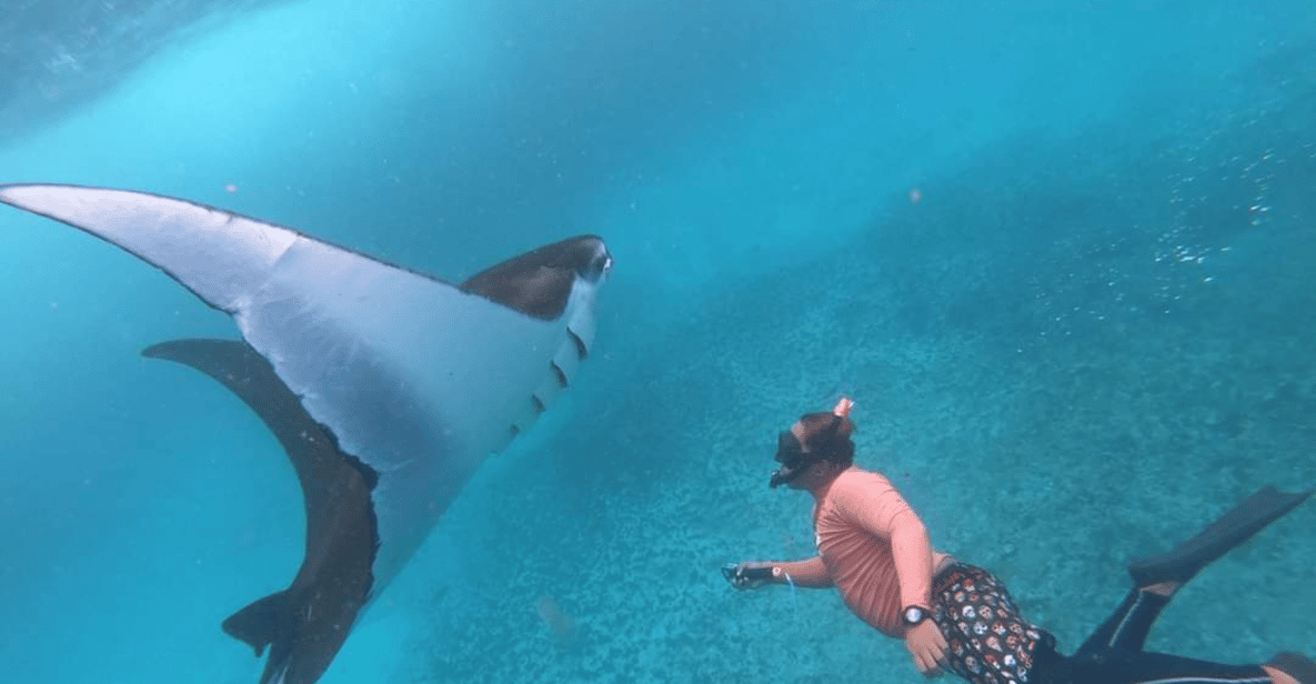 Nusa Penida: Snorkling med mantaer og landtur | GetYourGuide