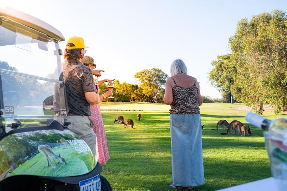 Swan Valley: Golf Cart Kangaroo Safari w/ Mini Golf & Drink | GetYourGuide
