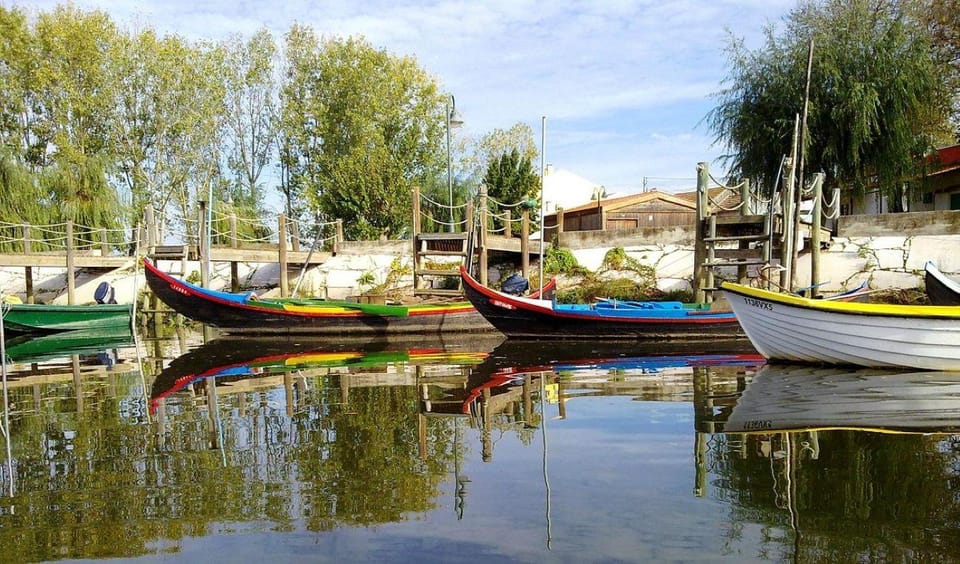 Valada do Ribatejo: Tejo River Birdwatching Experience | GetYourGuide