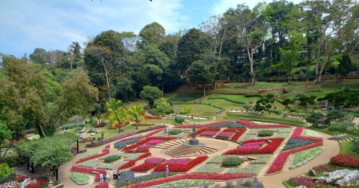 Mountains Discovery:Doi Mae Salong & Doi Tung (Private Tour) | GetYourGuide