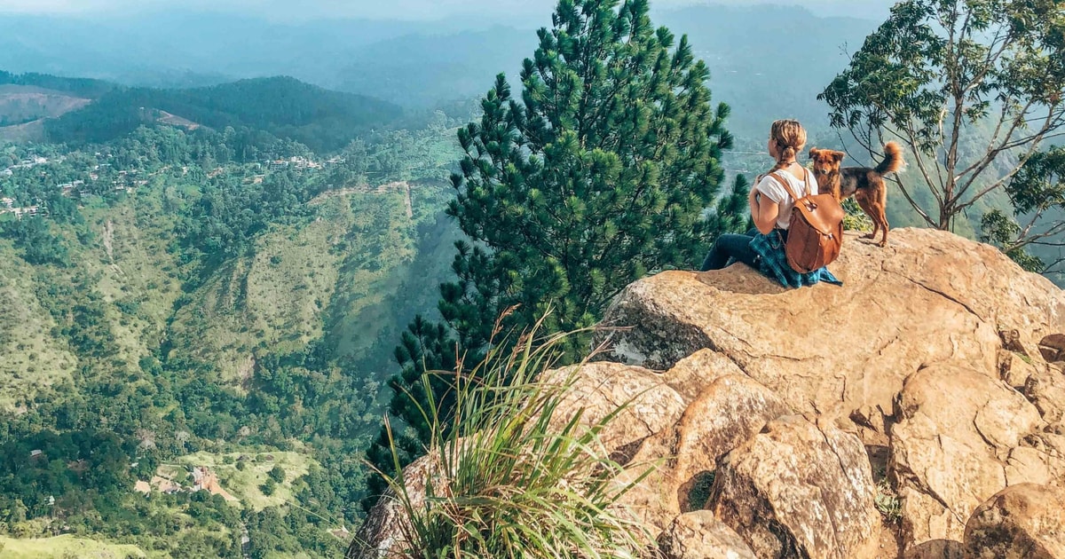 Descubre HAPUTALE en un Día: Excursiones desde Galle,Yala,Kandy | GetYourGuide