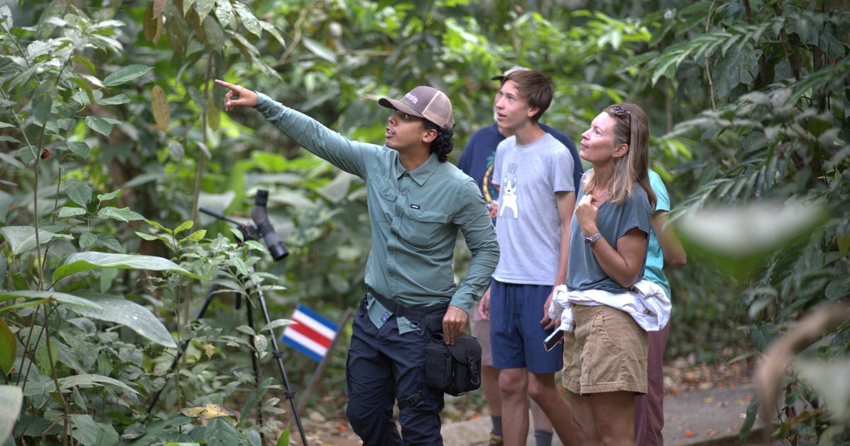 Sloth & Wildlife Nature Walk in La Fortuna | GetYourGuide