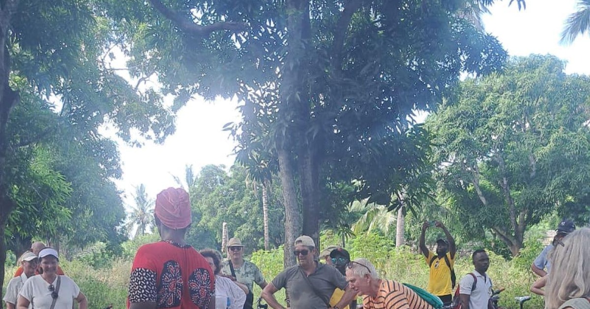 Diani bush tour | GetYourGuide