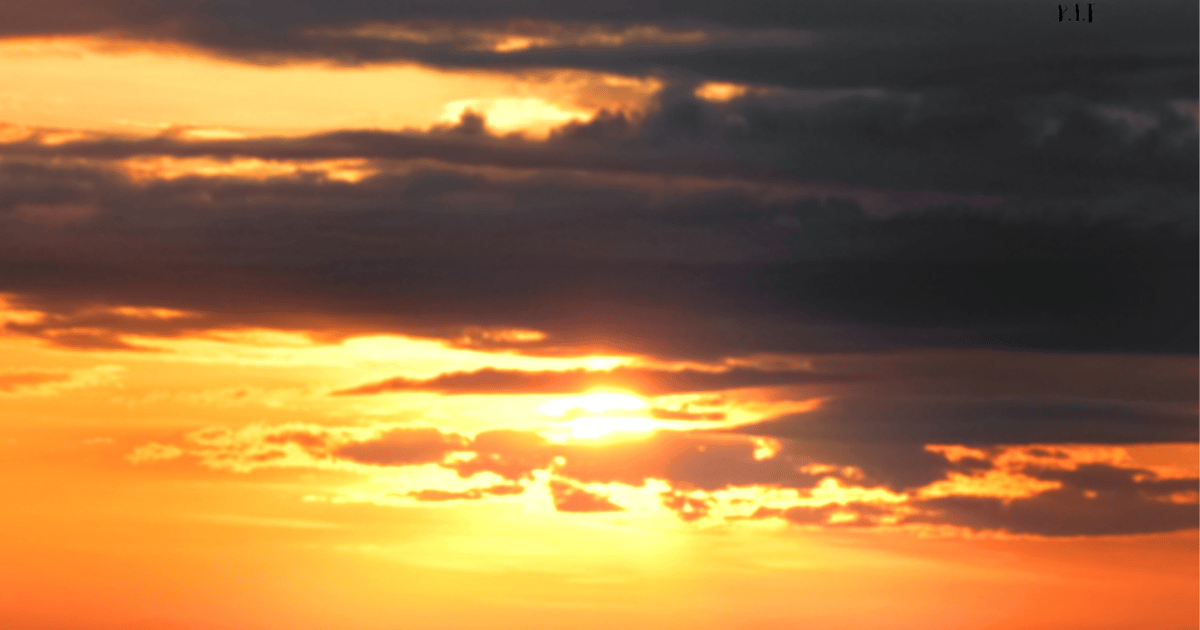 Bohol: 4-Day Adventure 100% Complete Bohol Experience | GetYourGuide