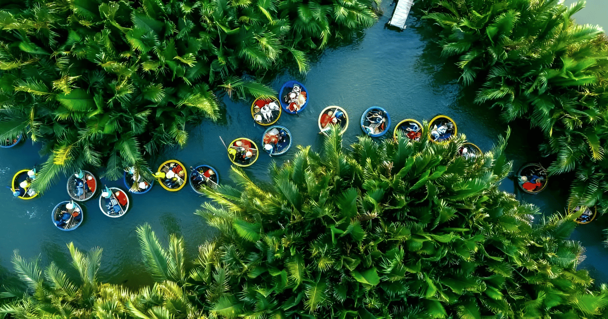 Dari Da Nang: Hutan Kelapa Bay Mau dan wisata Hoi An | GetYourGuide