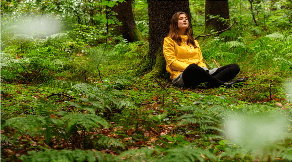 Bad Wörishofen: Shinrin-Yoku – Forest Bathing | GetYourGuide