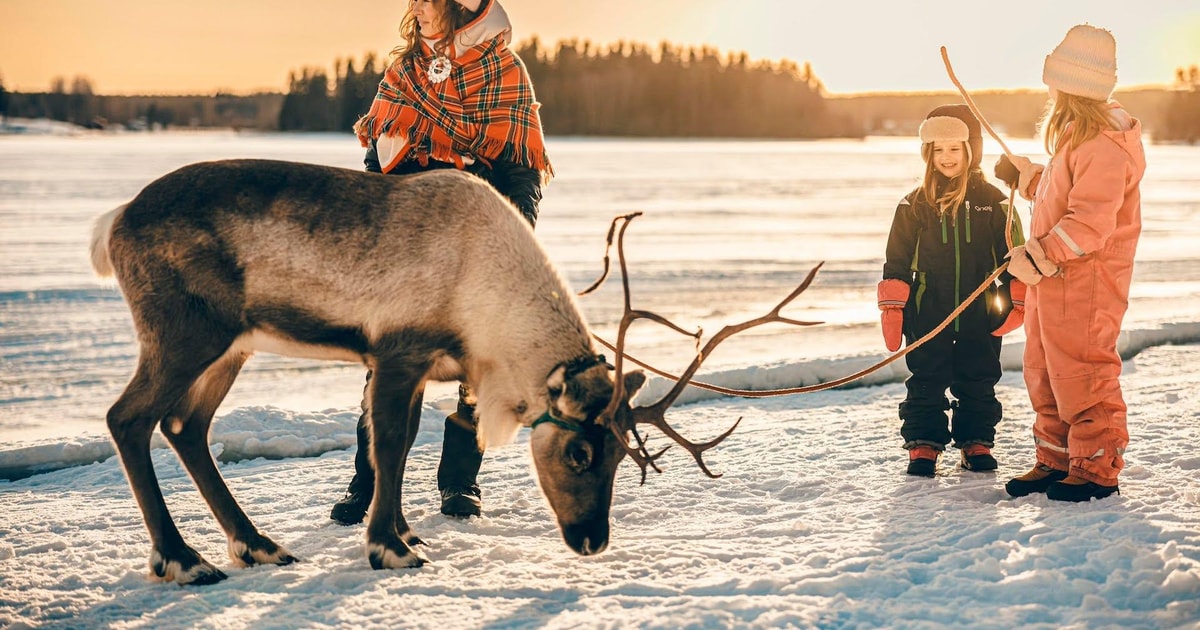 Luleå: Sami Culture & Reindeer Winter Experience | GetYourGuide