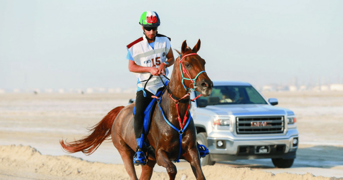 Qatar: passeggiata a cavallo nel deserto di Sealine con servizio ...