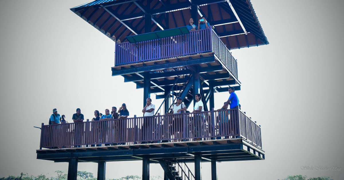 Shore Excursion to Colombo Wetland & Bird Watching by Car | GetYourGuide