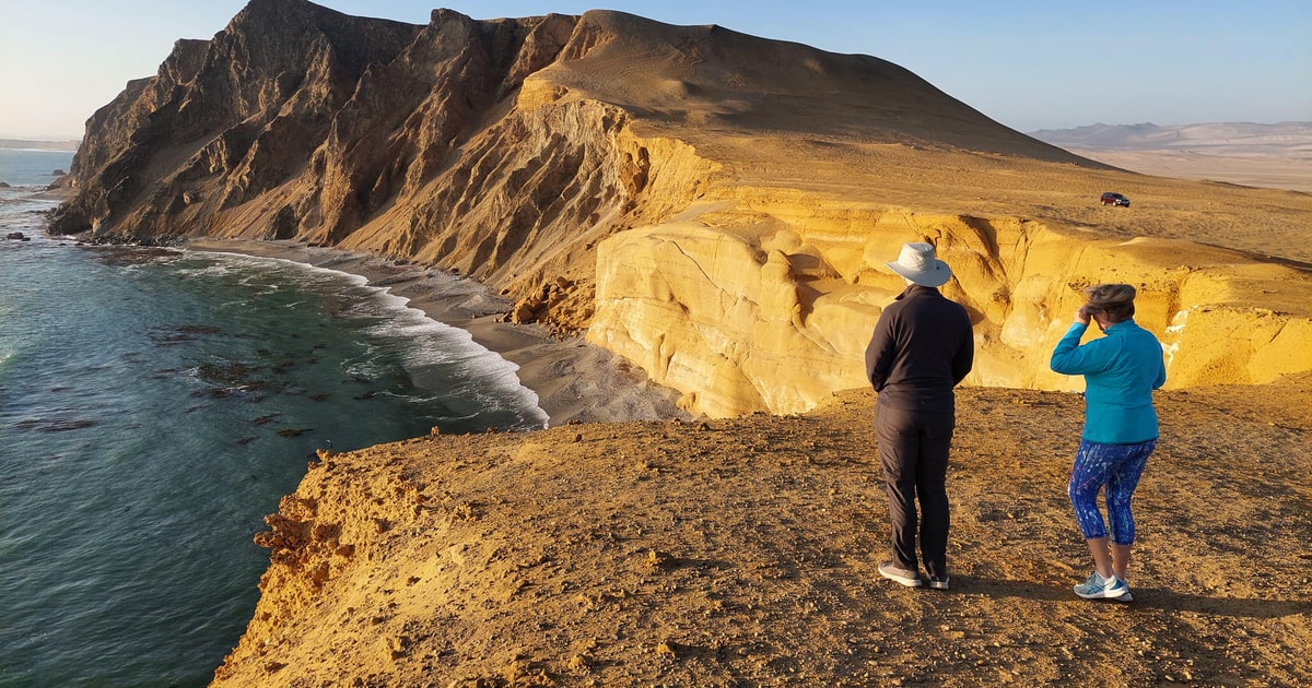 Paracas: Ballestas Island & Nature Reserve all inclusive | GetYourGuide