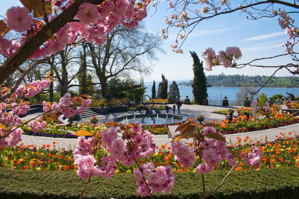 Costanza: Biglietto d'ingresso per l'isola di Mainau | GetYourGuide