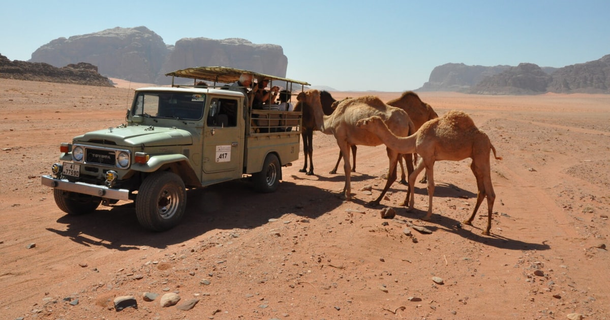 Wadi Rum: Full-Day Jeep Tour + Overnight Bedouin Tent Stay | GetYourGuide