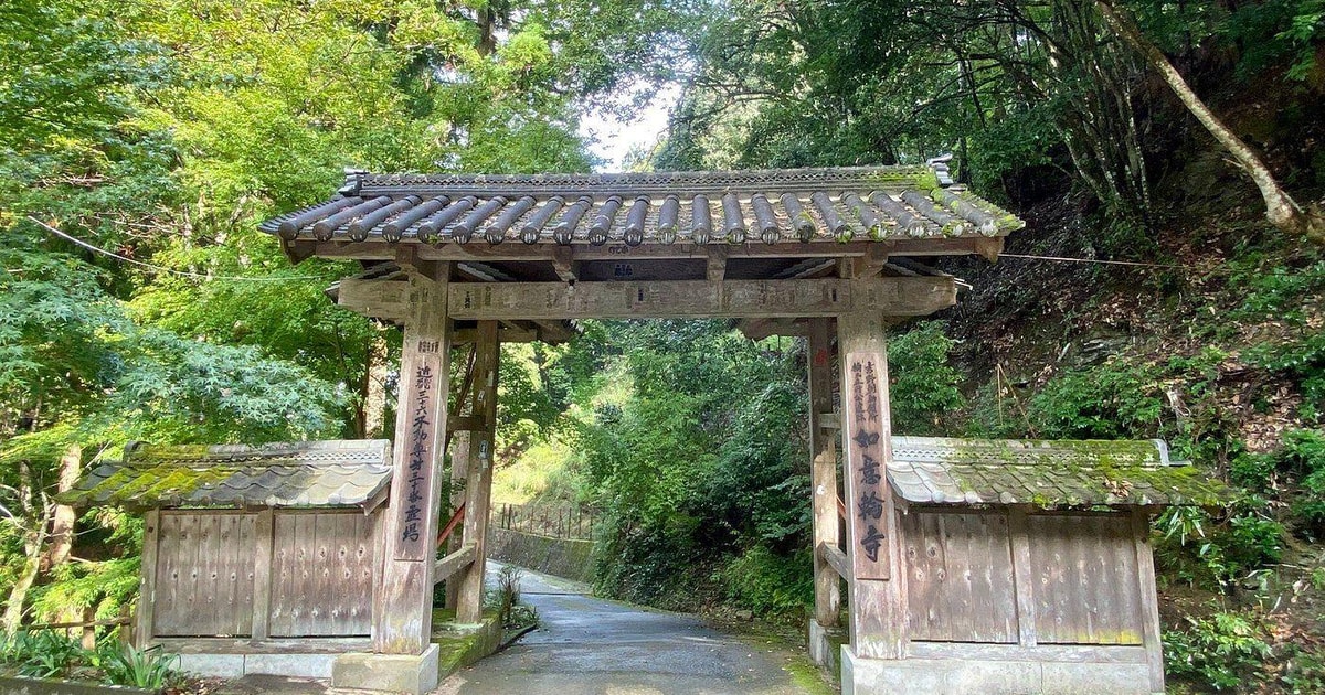 Fukuoka: Nyoirinji Frog Temple & Tea Escape | GetYourGuide