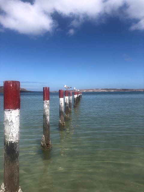 1-hours Sunset Betta boat Tour, Langebaan Lagoon | GetYourGuide