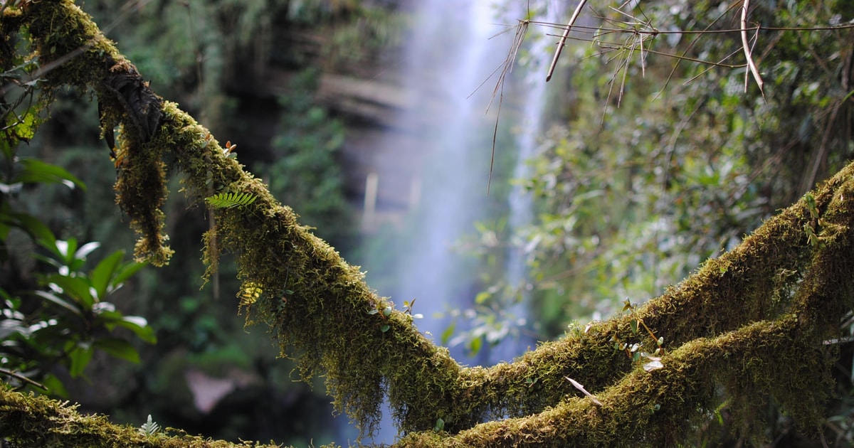 Bogotá: Private Tour to La Chorrera, Colombia’s Highest Fall | GetYourGuide