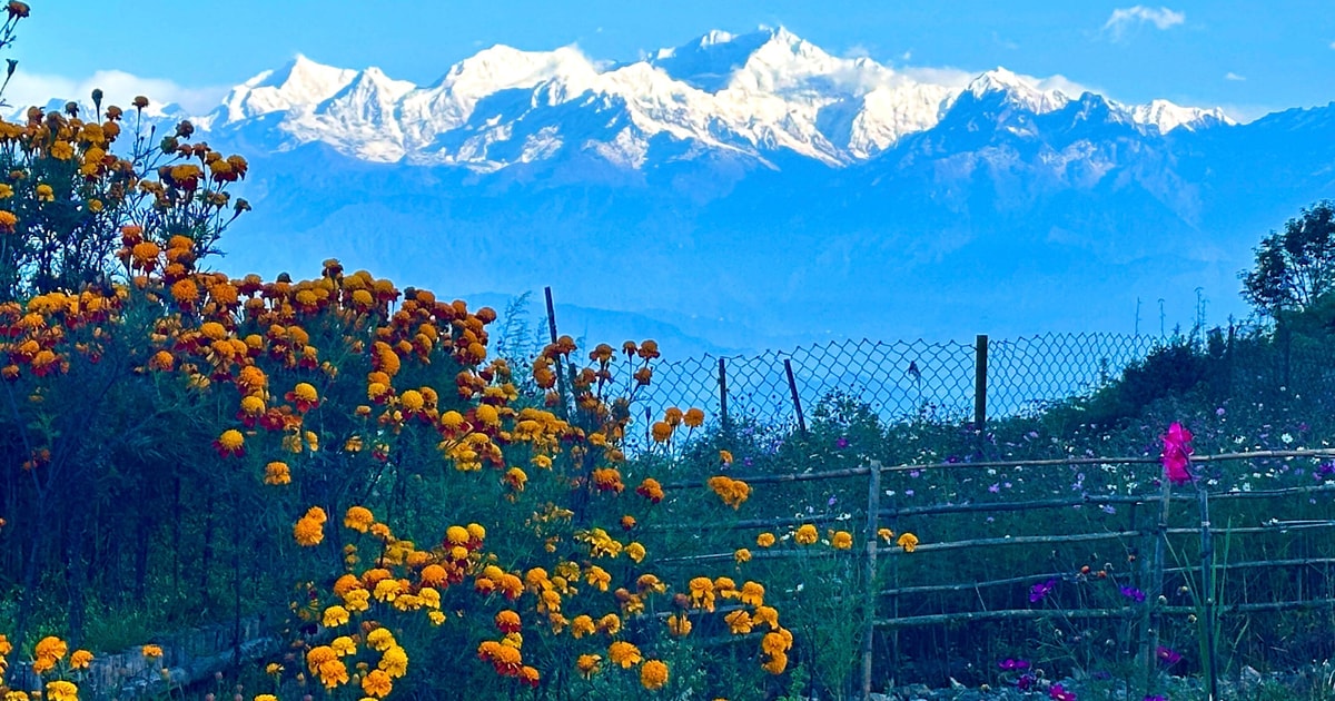 Darjeeling: Tiger Hill Sunrise Hike – Guided Day Trip | GetYourGuide