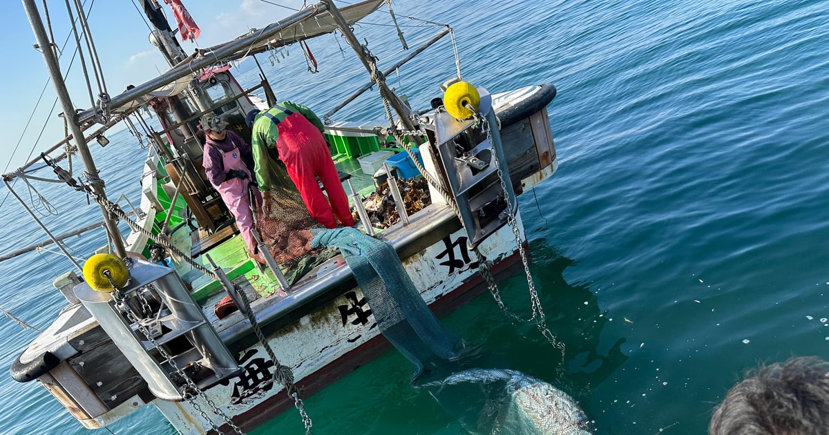 Fishing on a fishing boat & bottom trawl tour | GetYourGuide