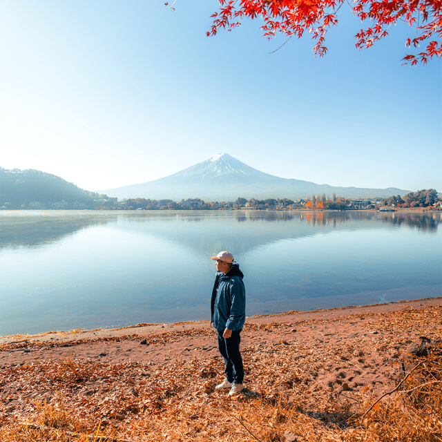 Fuji Tour: Die Schönheit rund um den Berg Fuji erkunden | GetYourGuide