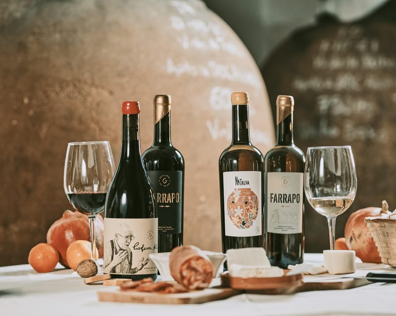Alentejo: Visit and Taste the tradition of Talha Wines | GetYourGuide