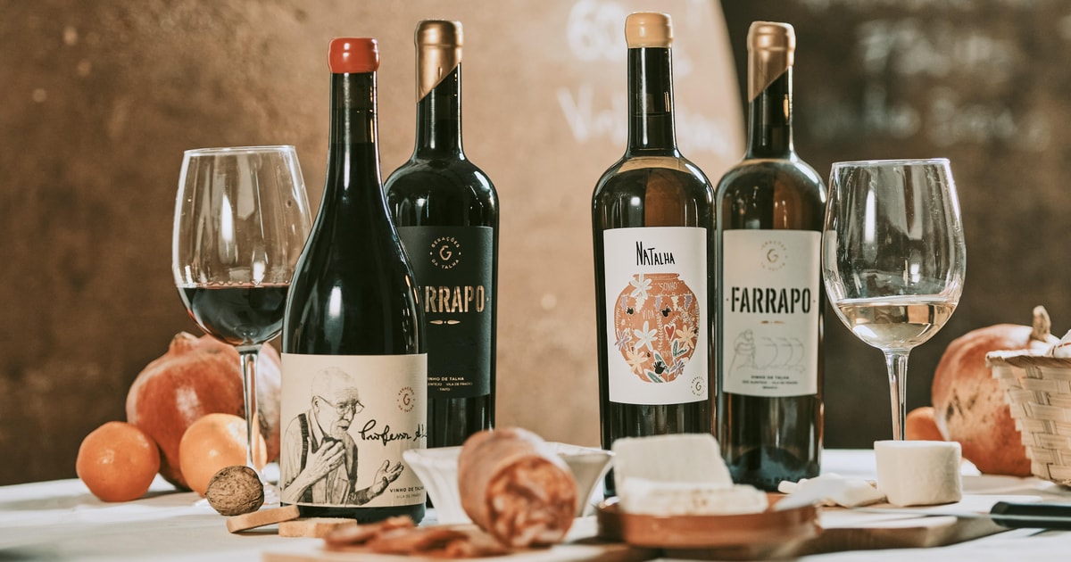Alentejo: Visit and Taste the tradition of Talha Wines | GetYourGuide