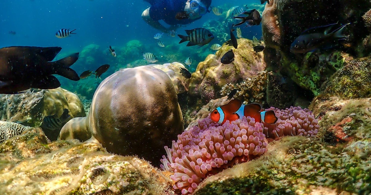 Bangkok'tan: Drone Fotoğrafları ve Öğle Yemeği ile Nemo Adası ...