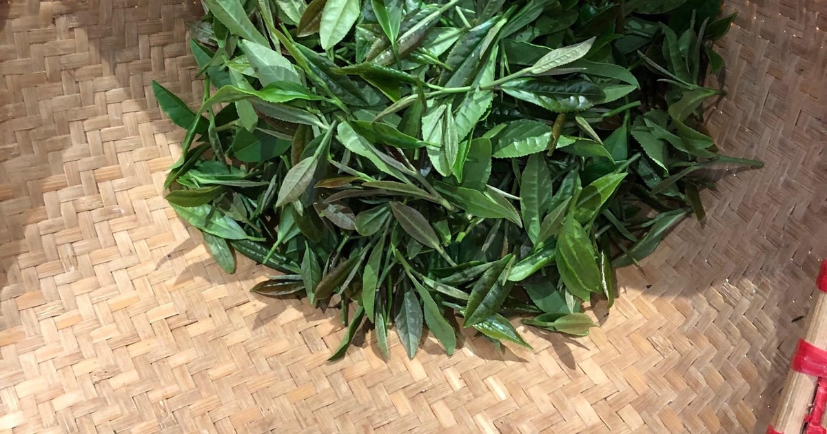 Private Hangzhou Tea Cultural Day Tour | GetYourGuide