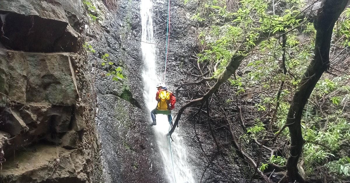 Gran Canaria: Rainforest Canyoning Tour with Gear and Snack | GetYourGuide