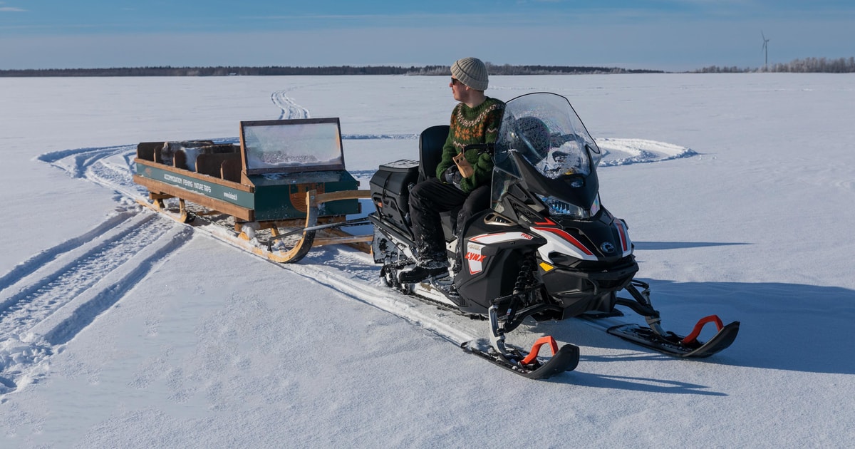 Ii: Frozen river and sea from a snowmobile sleigh | GetYourGuide